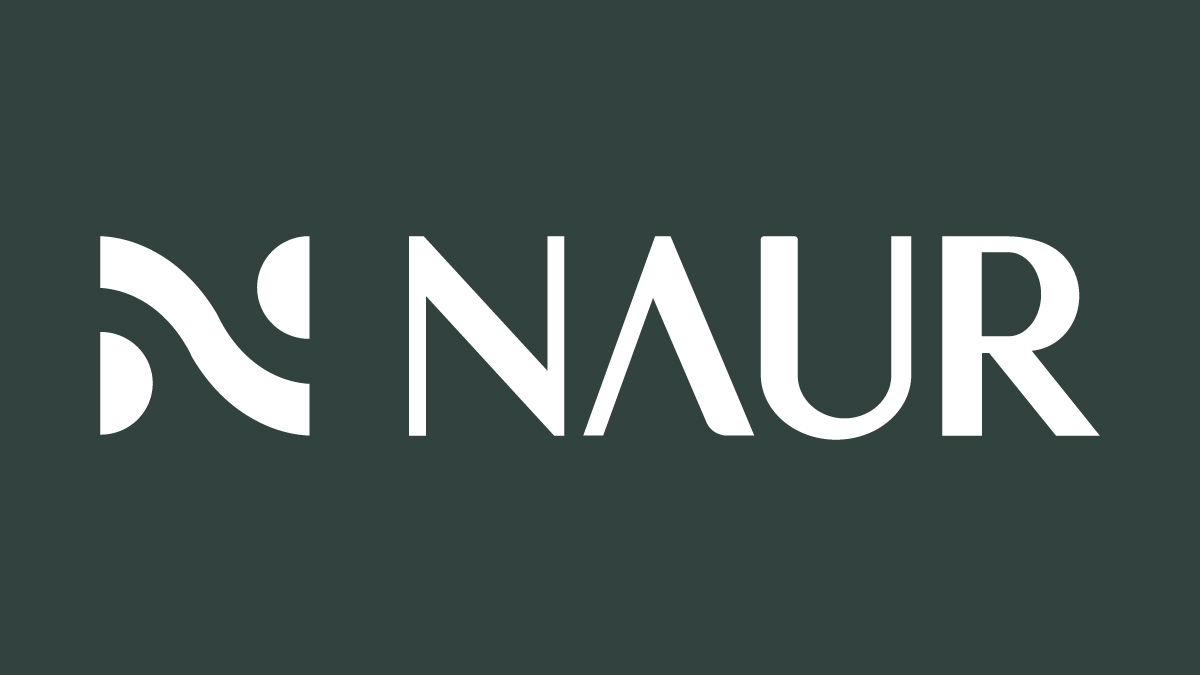Conoce NAUR | Expertos en gestión de proyectos inmobiliarios - Naur
